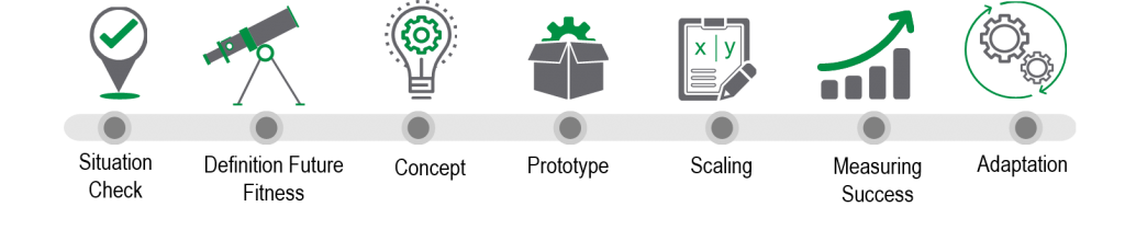 Agile Transformation - Agile maturity model – Primas Consulting GmbH